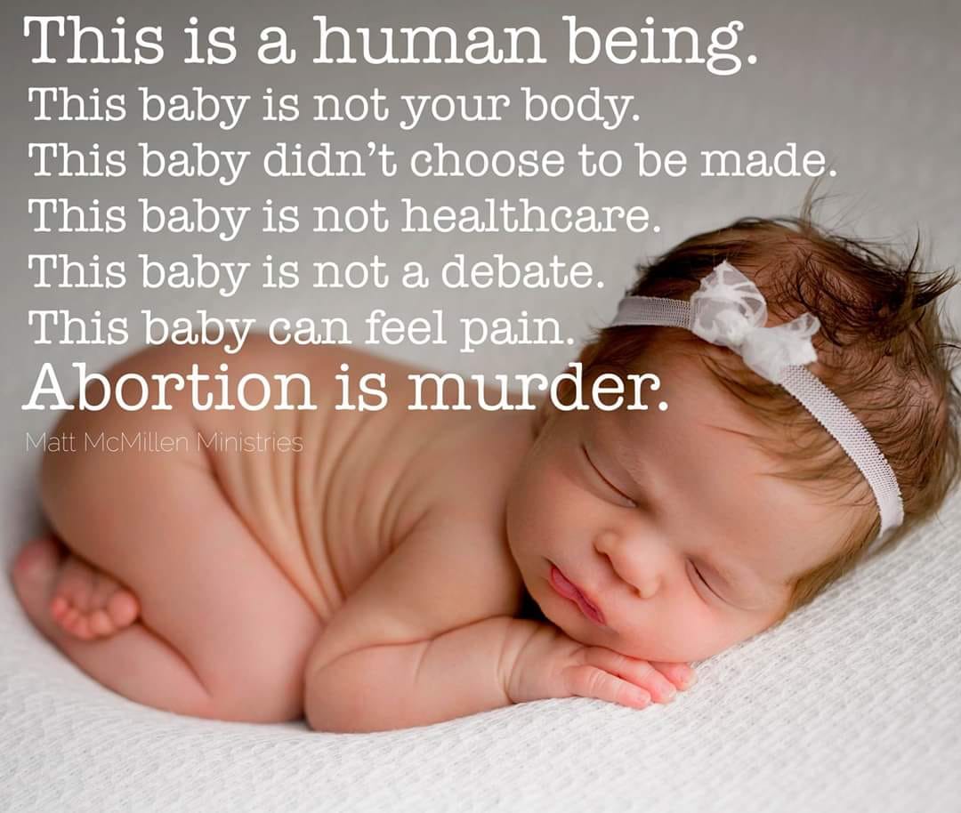 Conservative Truth - What is a Baby? - Picture of the Week - 2020-07-15